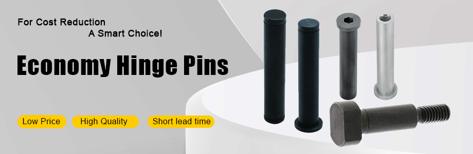 Economy Hinge Pins | MISUMI South East Asia